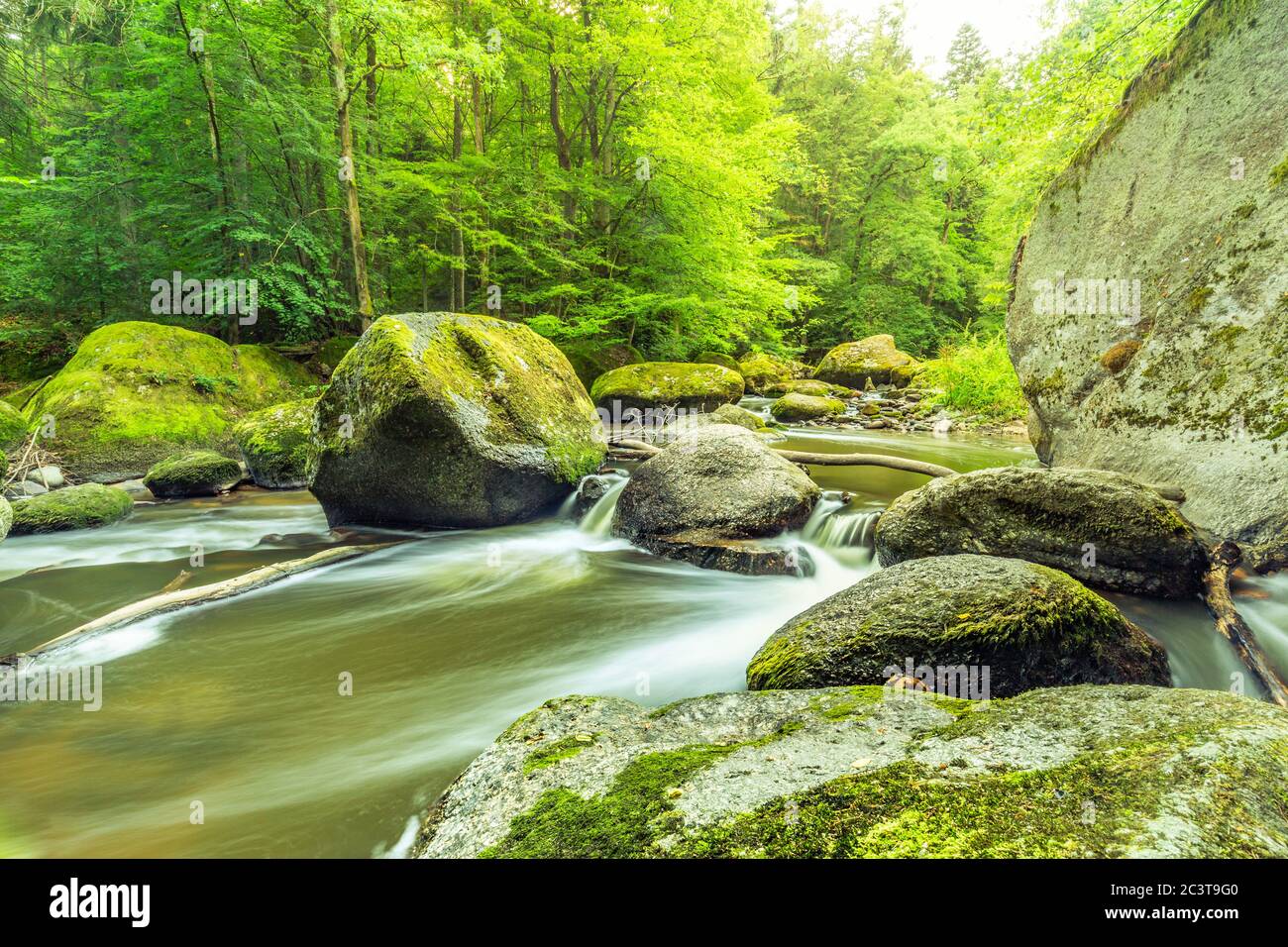 Amazing forest nature, river stream with rocks in wonderful spring ...