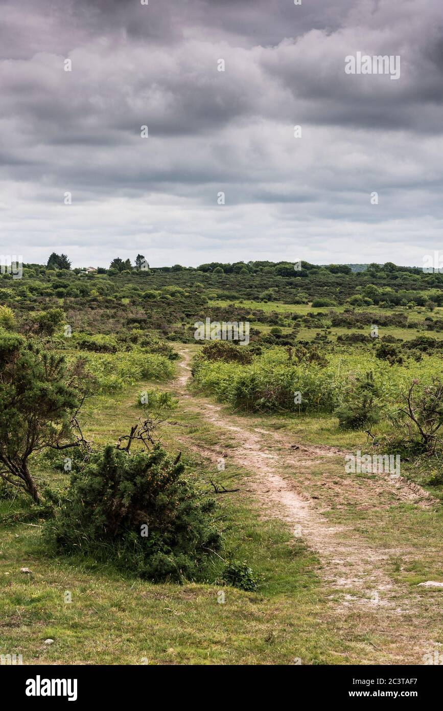Rough footpath hi-res stock photography and images - Alamy
