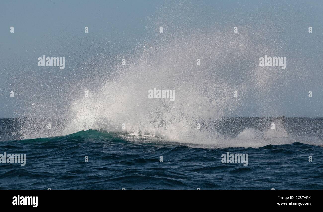 Whale spraying water hi-res stock photography and images - Alamy