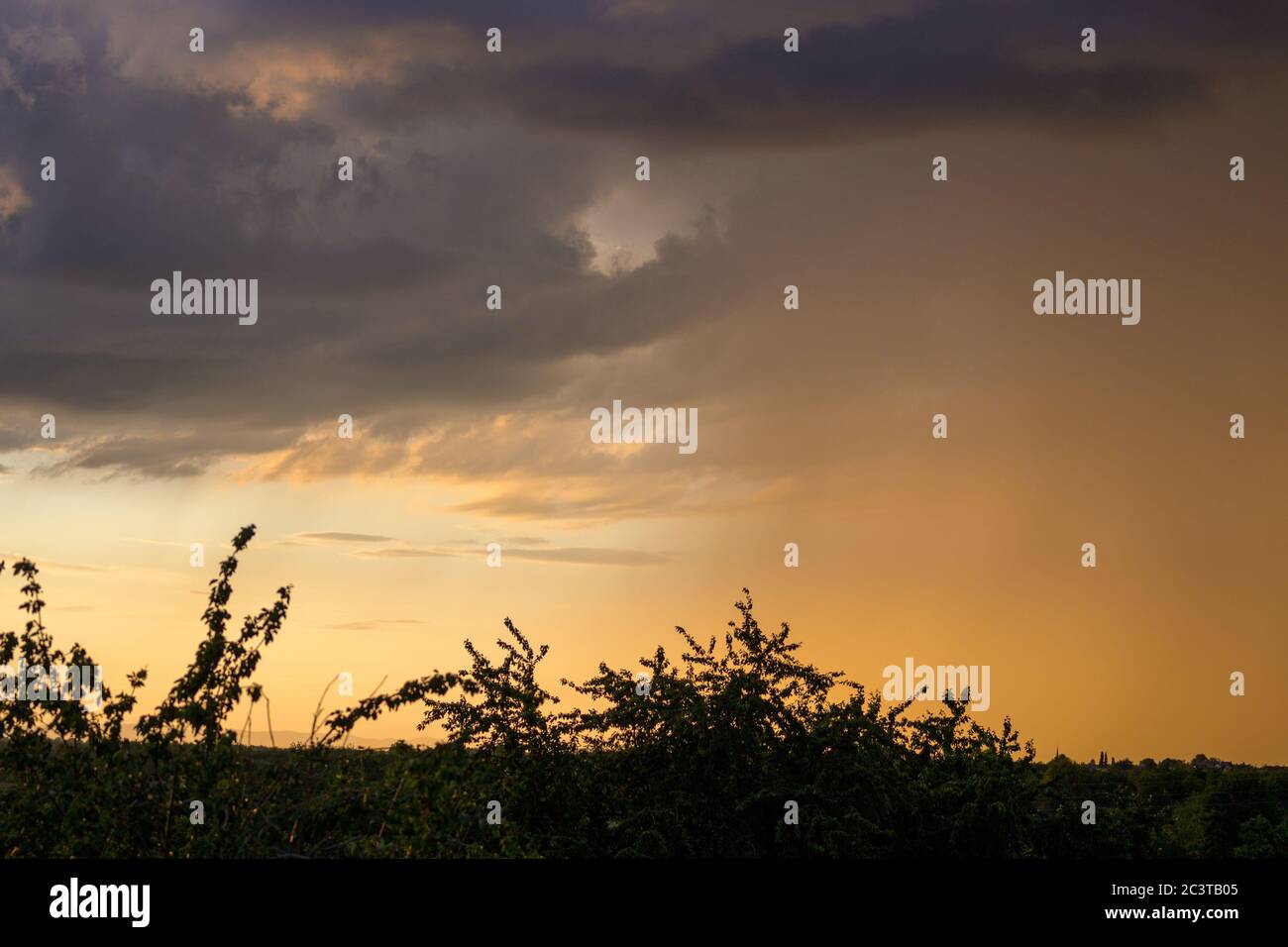 Diffuse silhouette hi-res stock photography and images - Alamy