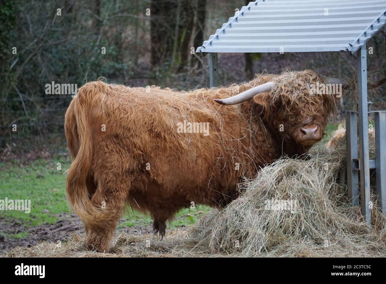 Hay Shed High Resolution Stock Photography and Images - Alamy