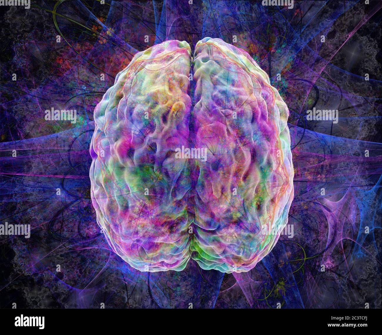 overmind, brain activity, colored human overbrain model, view top, 3d ...