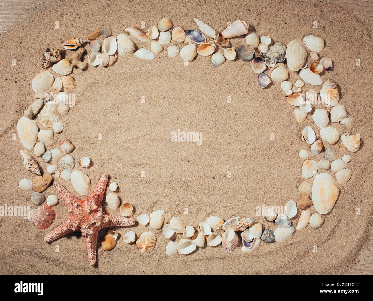 Seashells summer background. Lots of different seashells piled together ...