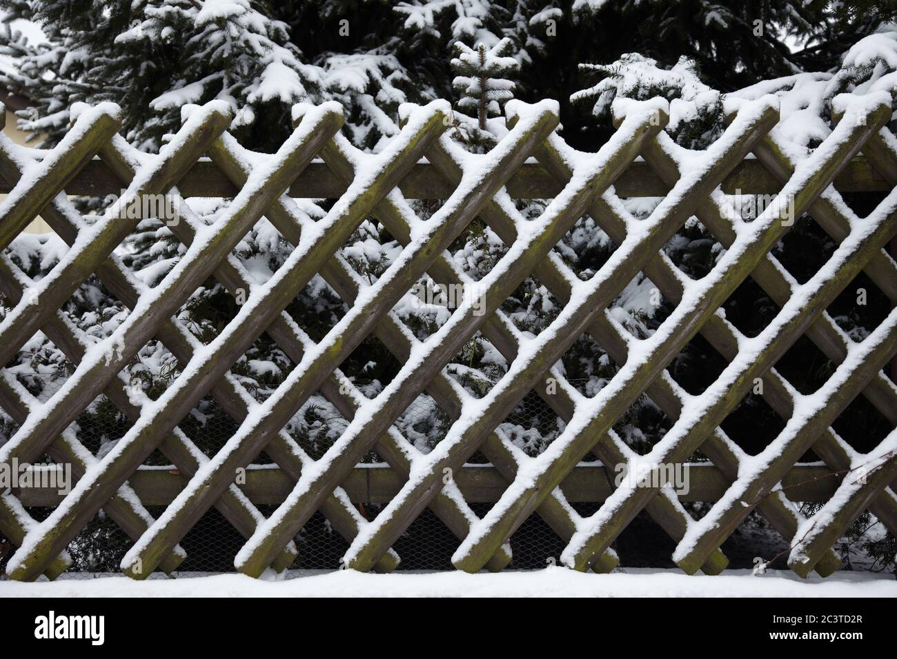 A snowy hunter fence in front of fir trees in winter Stock Photo - Alamy