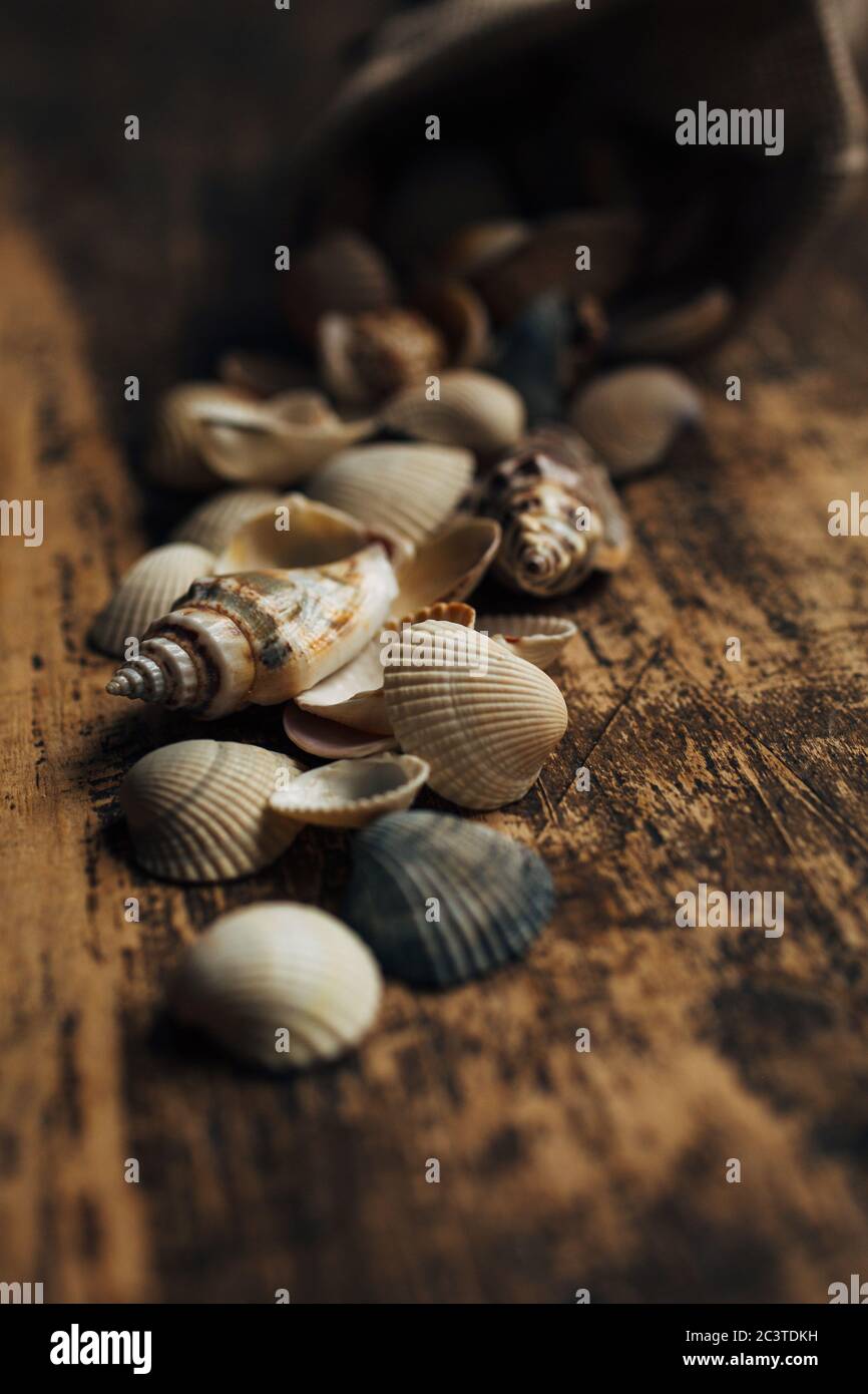 Macro photo. Sea shells are poured out of the bag. Rustic wooden ...