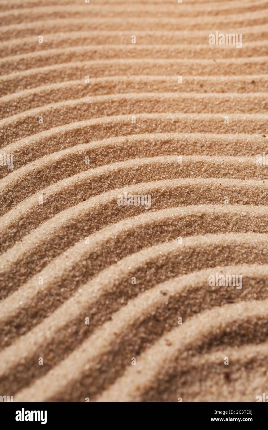 Golden wavy sand texture pattern structure, lit by morning sun. Sand ...