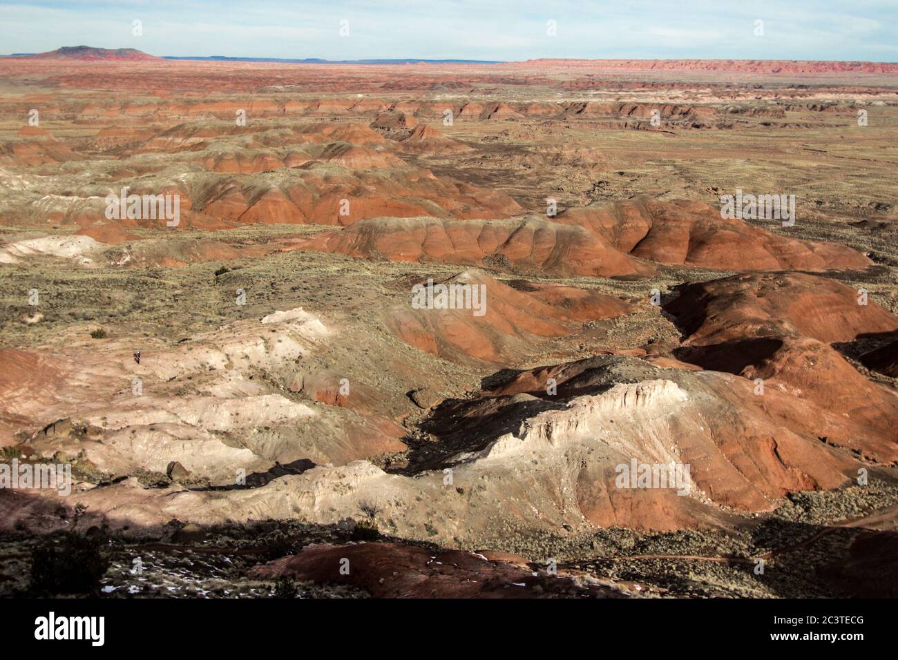 "Painted Desert Petrified Forest National Park overlook of a rugged ...