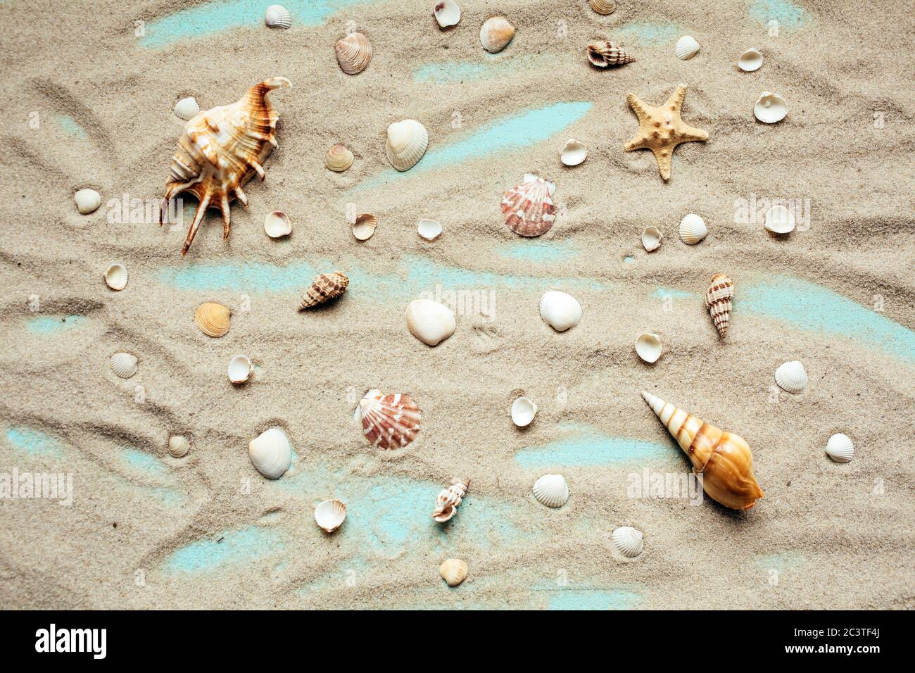 Different types of seashells are spread on sand on a turquoise ...