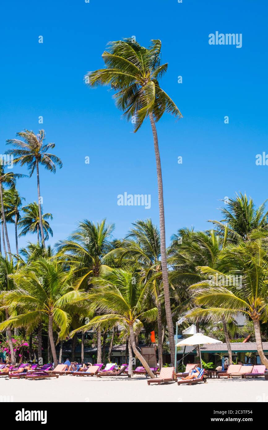 Mui ne beach, Mui ne, Vietnam, Asia Stock Photo - Alamy