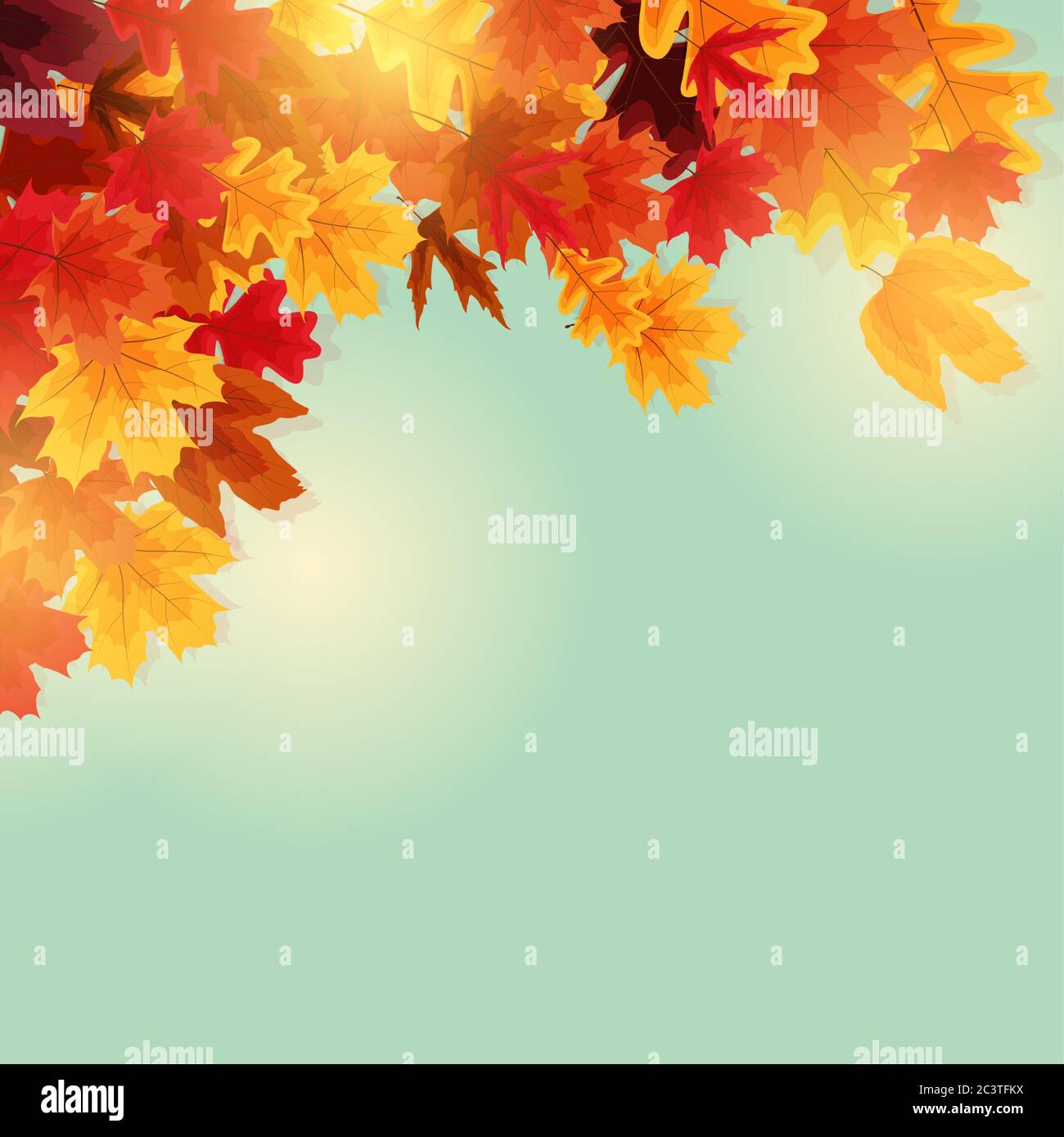 Shiny Autumn Leaves Banner Background. Vector Illustration Stock Vector ...