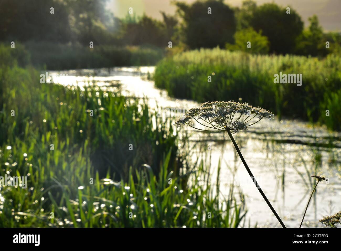 Grantham canal towpath hi-res stock photography and images - Alamy