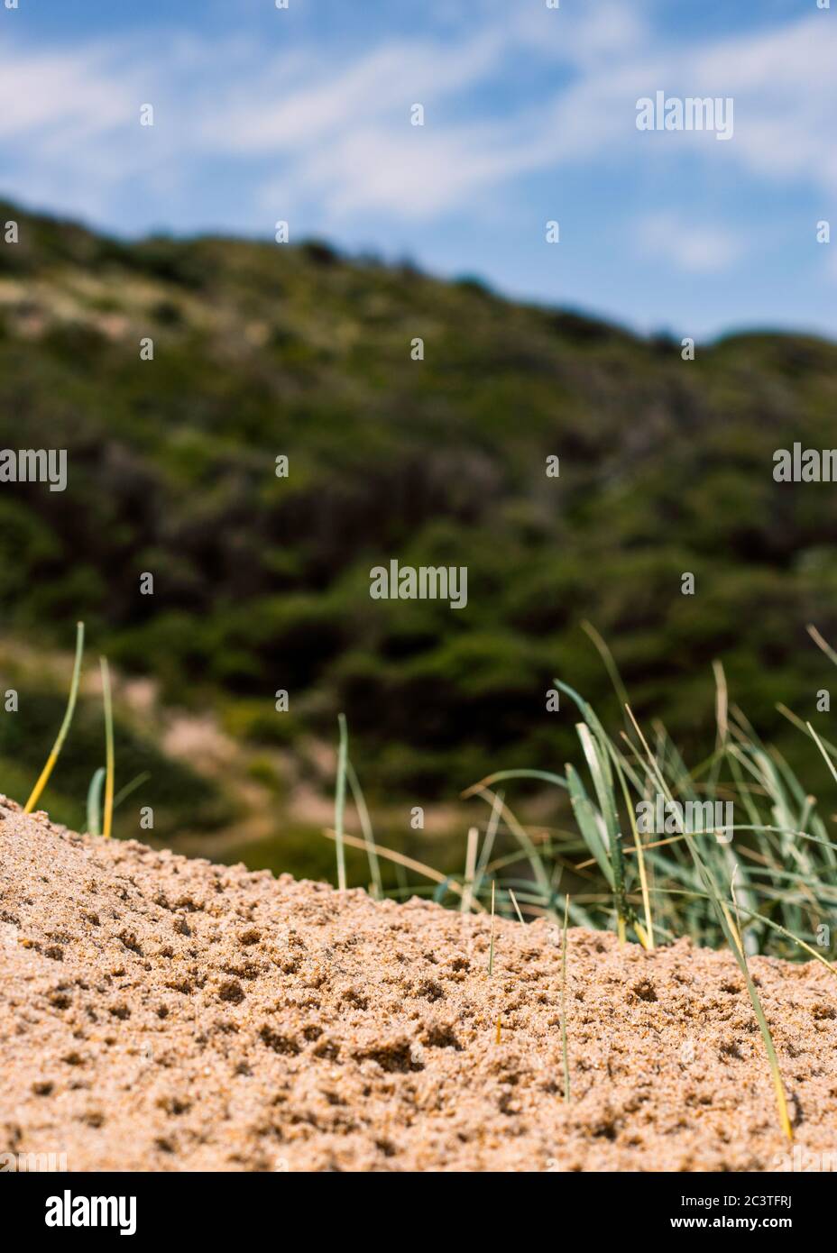 Sandy and grassy countryside hi-res stock photography and images - Alamy