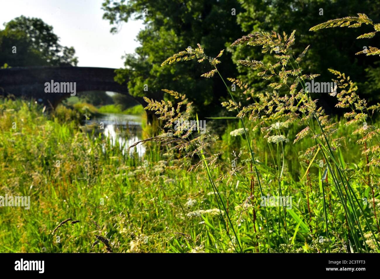 Grantham canal towpath hi-res stock photography and images - Alamy