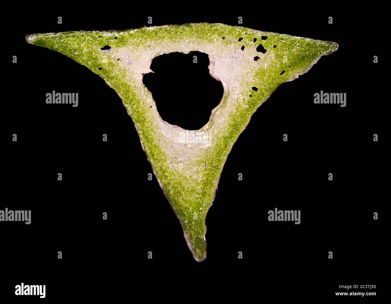 Triangular cross section hi-res stock photography and images - Alamy