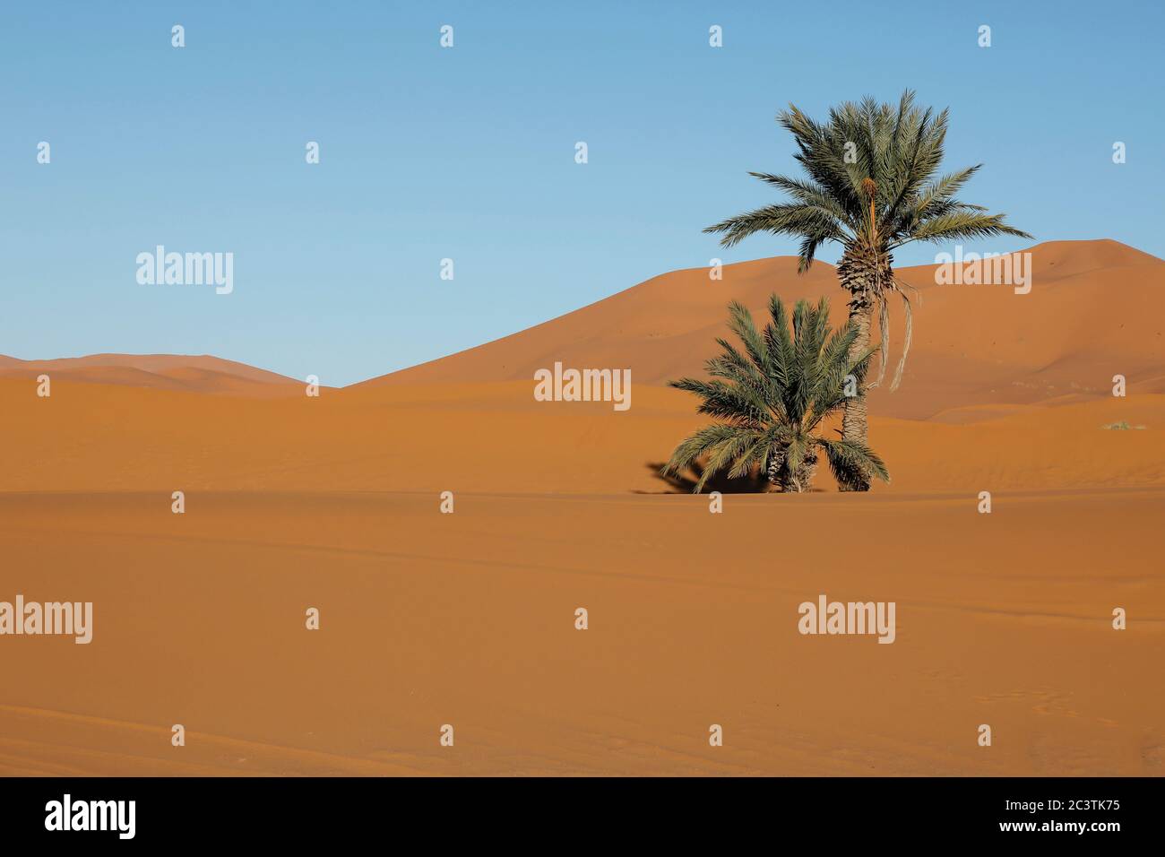 Sahel african sahara desert hi-res stock photography and images - Alamy