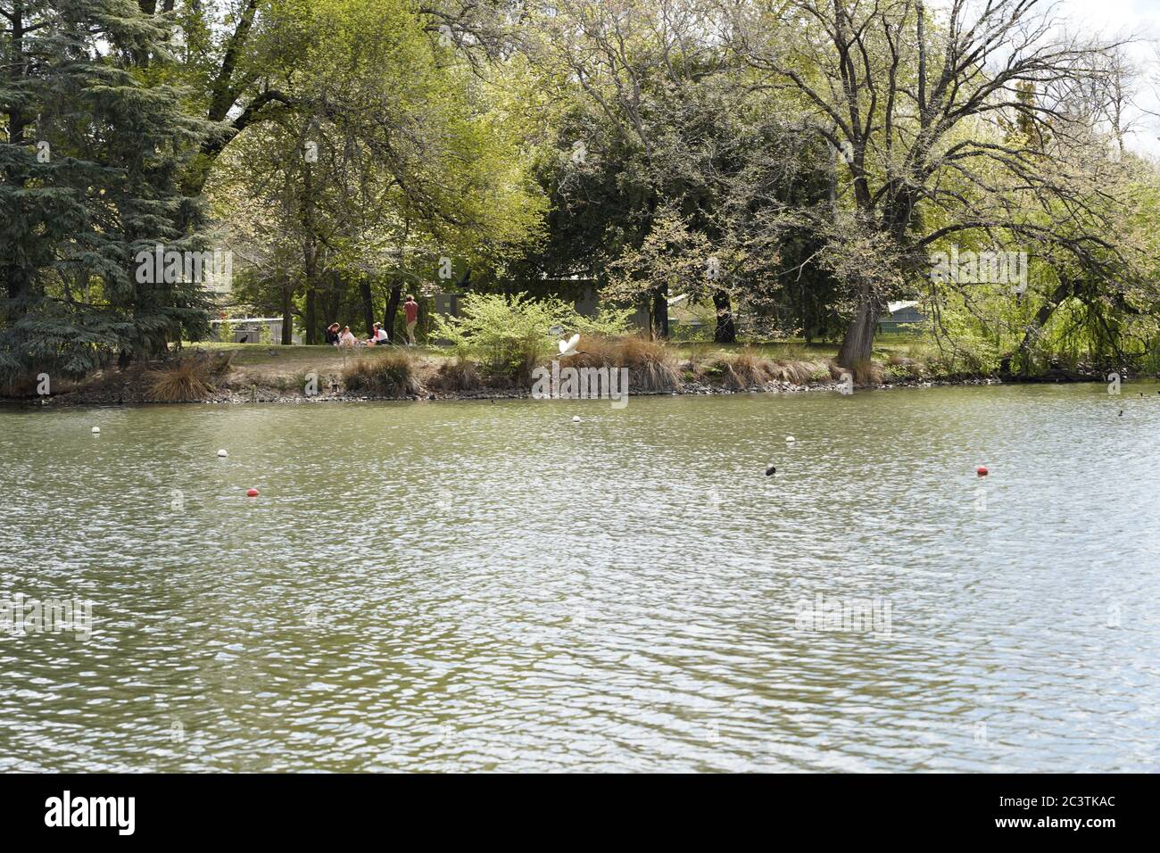 See weeroona hi-res stock photography and images - Alamy