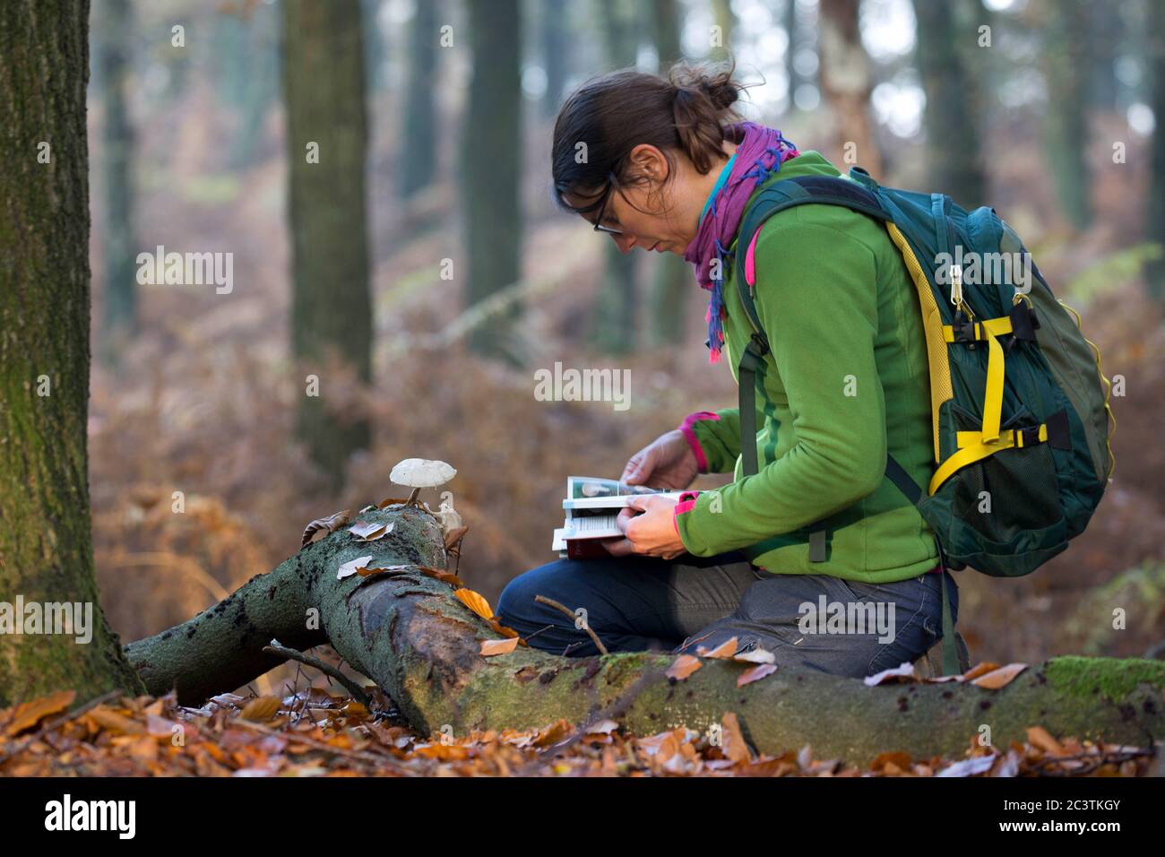 Consulting field guide hi-res stock photography and images - Alamy