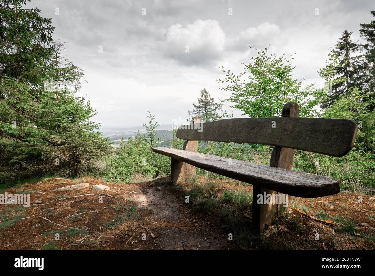 Bench in the forest wide angle landscape Stock Photo - Alamy
