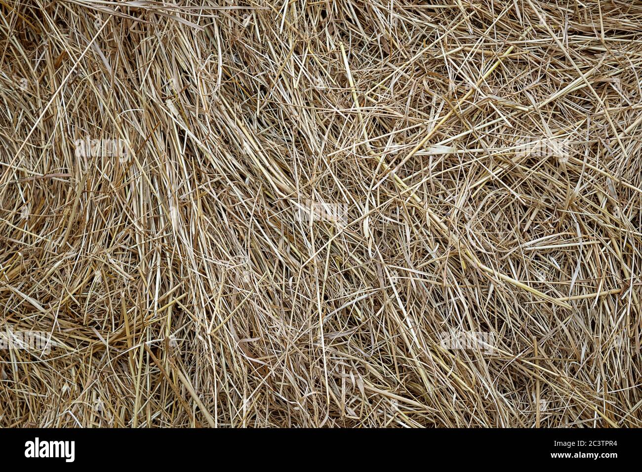 Hay texture hi-res stock photography and images - Alamy