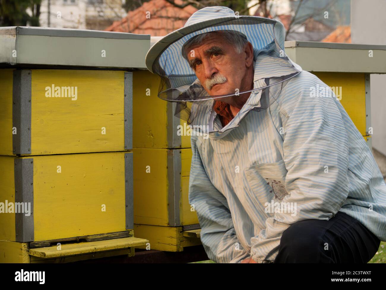 Old apiarist next to his apiary Stock Photo - Alamy