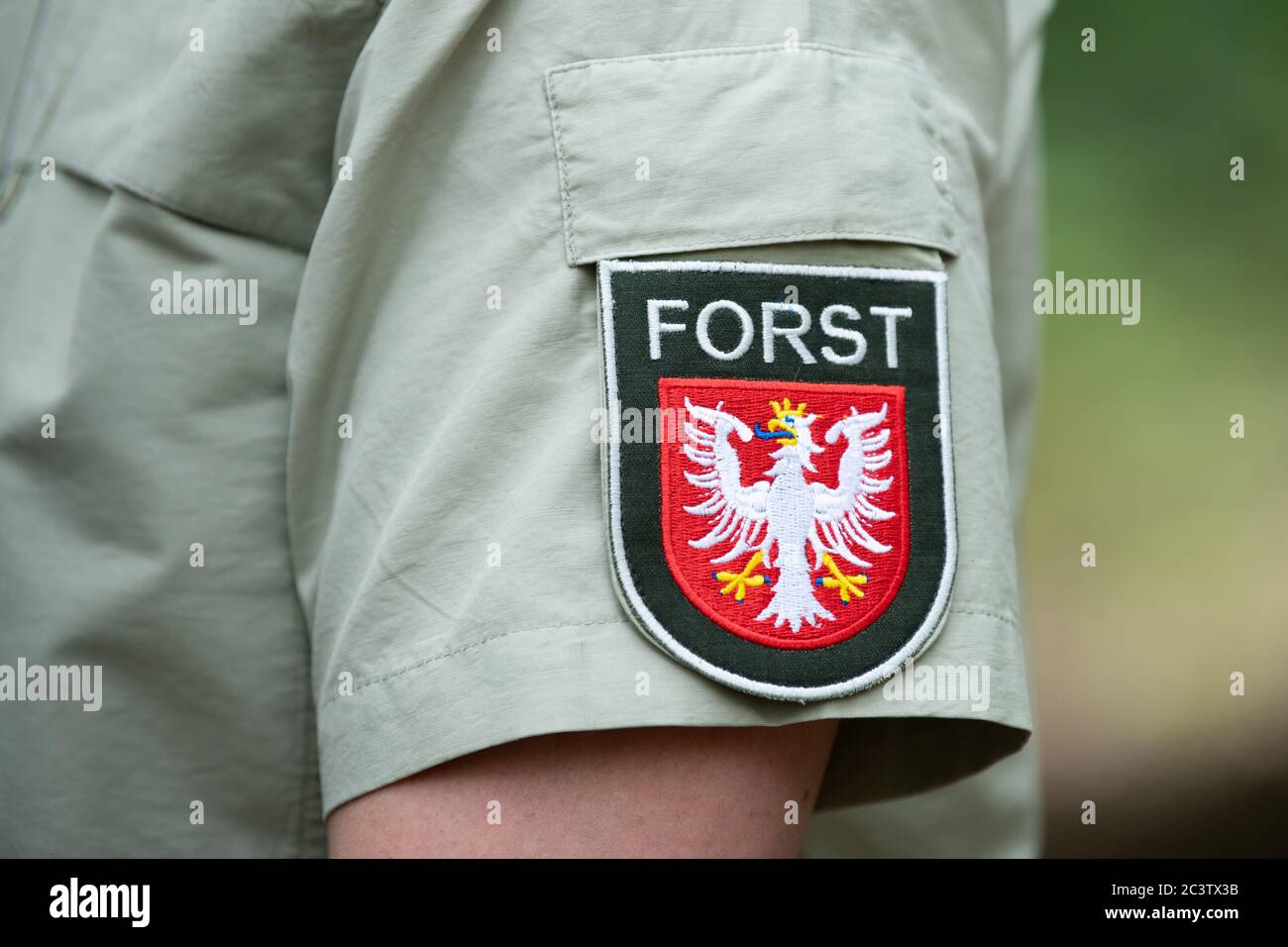 Forst work hi-res stock photography and images - Alamy