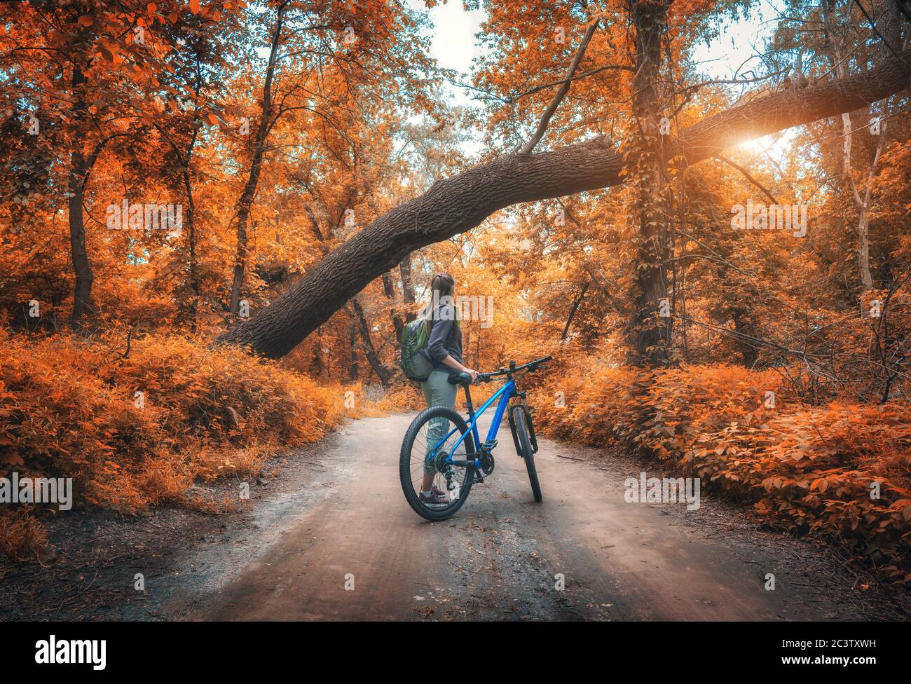 Bike ride in the forest hi-res stock photography and images - Alamy