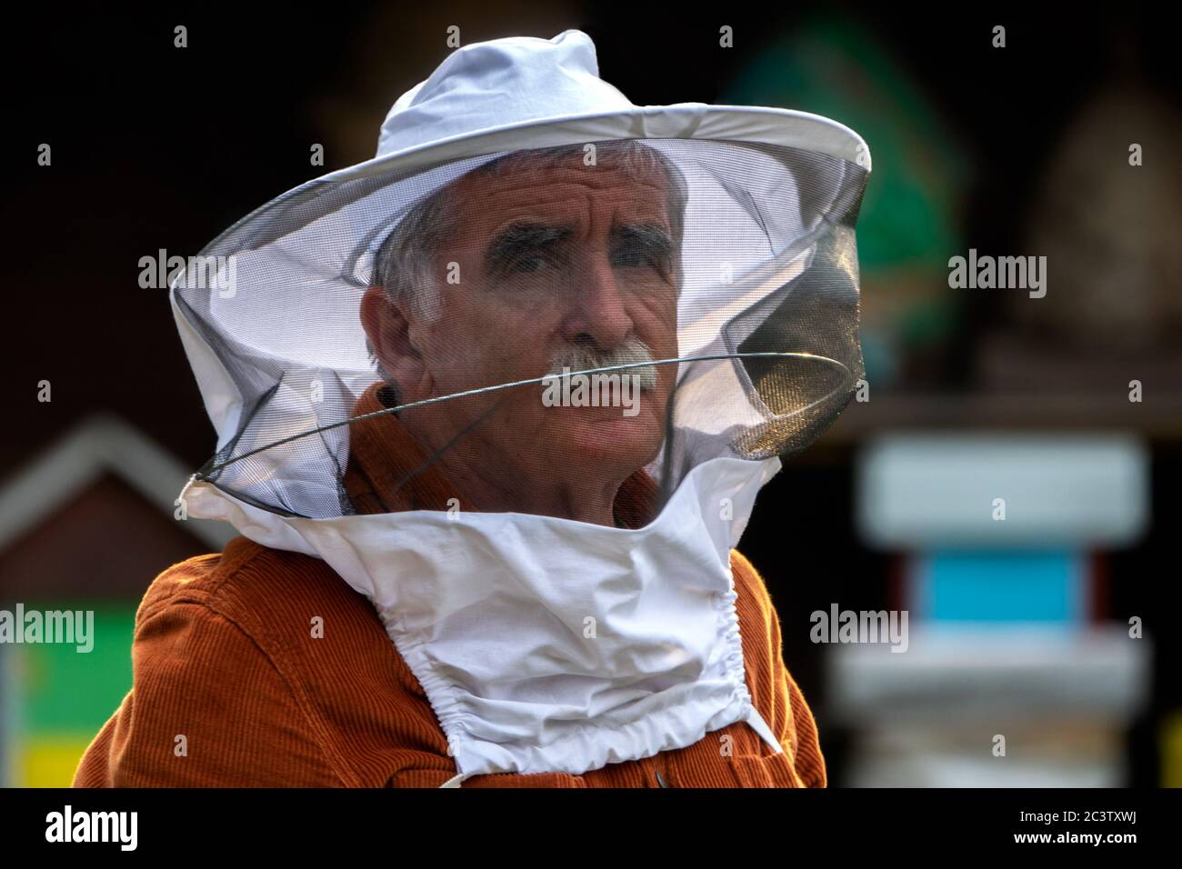 Male beekeeper in protective mask hi-res stock photography and images ...