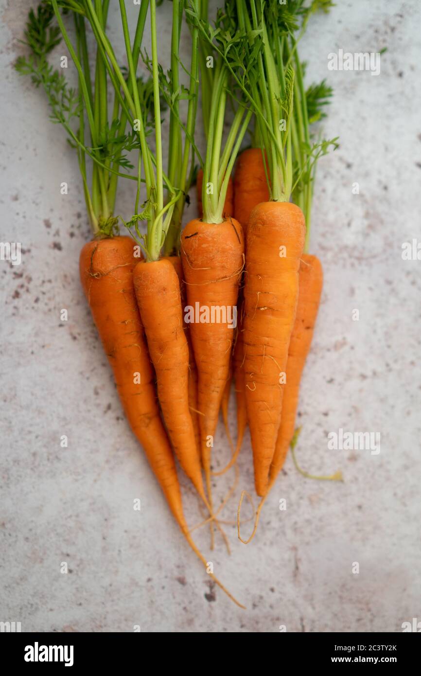 A bunch of carrots Stock Photo - Alamy