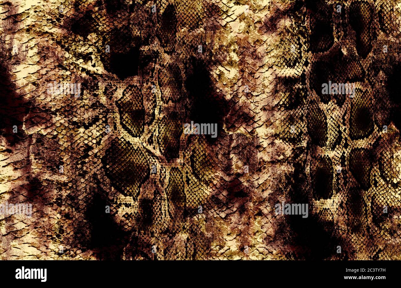 Snake font letter hi-res stock photography and images - Alamy