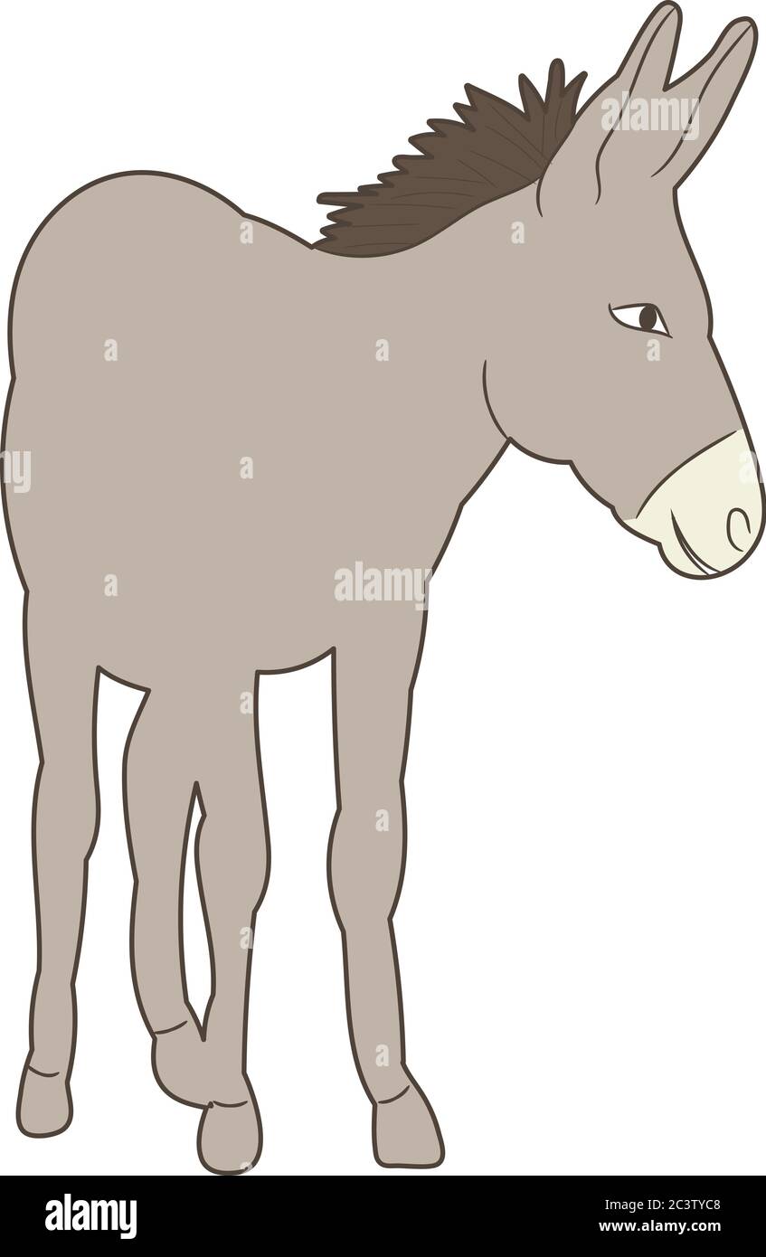 vector, isolated donkey vector Stock Vector Image & Art - Alamy