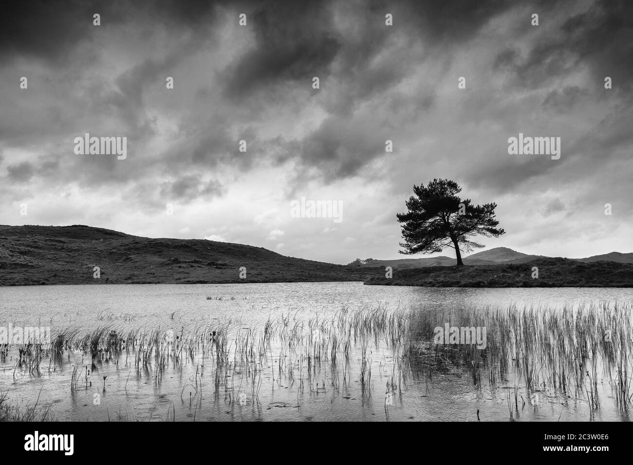Buttermere sunset spring hi-res stock photography and images - Alamy