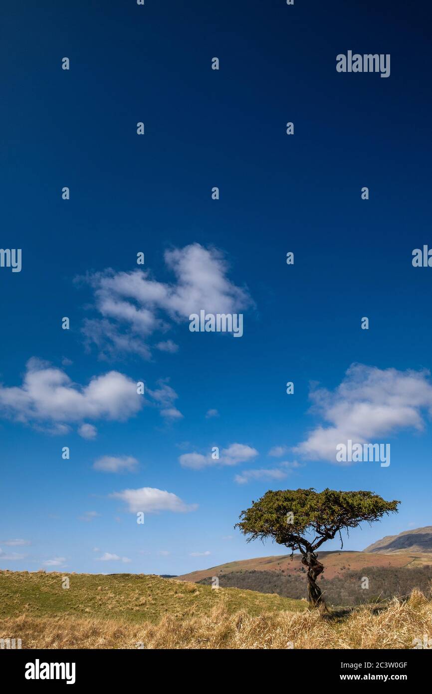 Lake District Spring images Stock Photo - Alamy