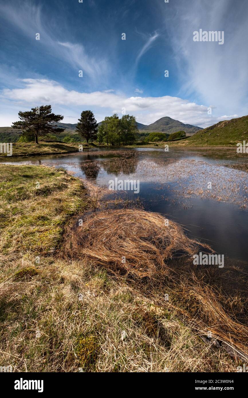 Lake District Spring images Stock Photo - Alamy