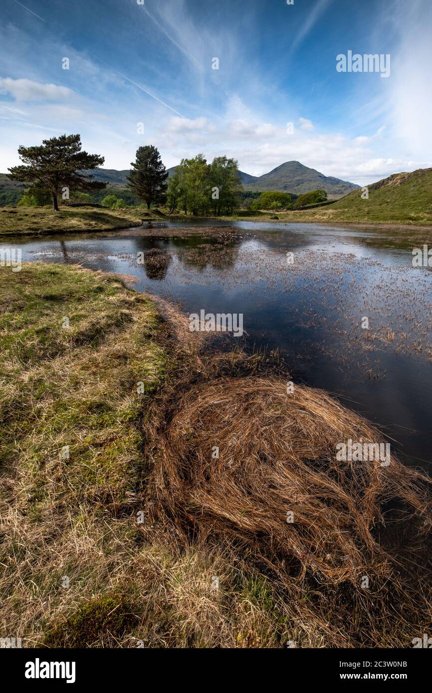 Lake District Spring images Stock Photo - Alamy