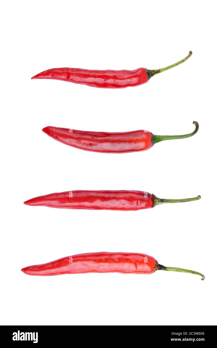 Fresh red chili isolated over white background Stock Photo - Alamy