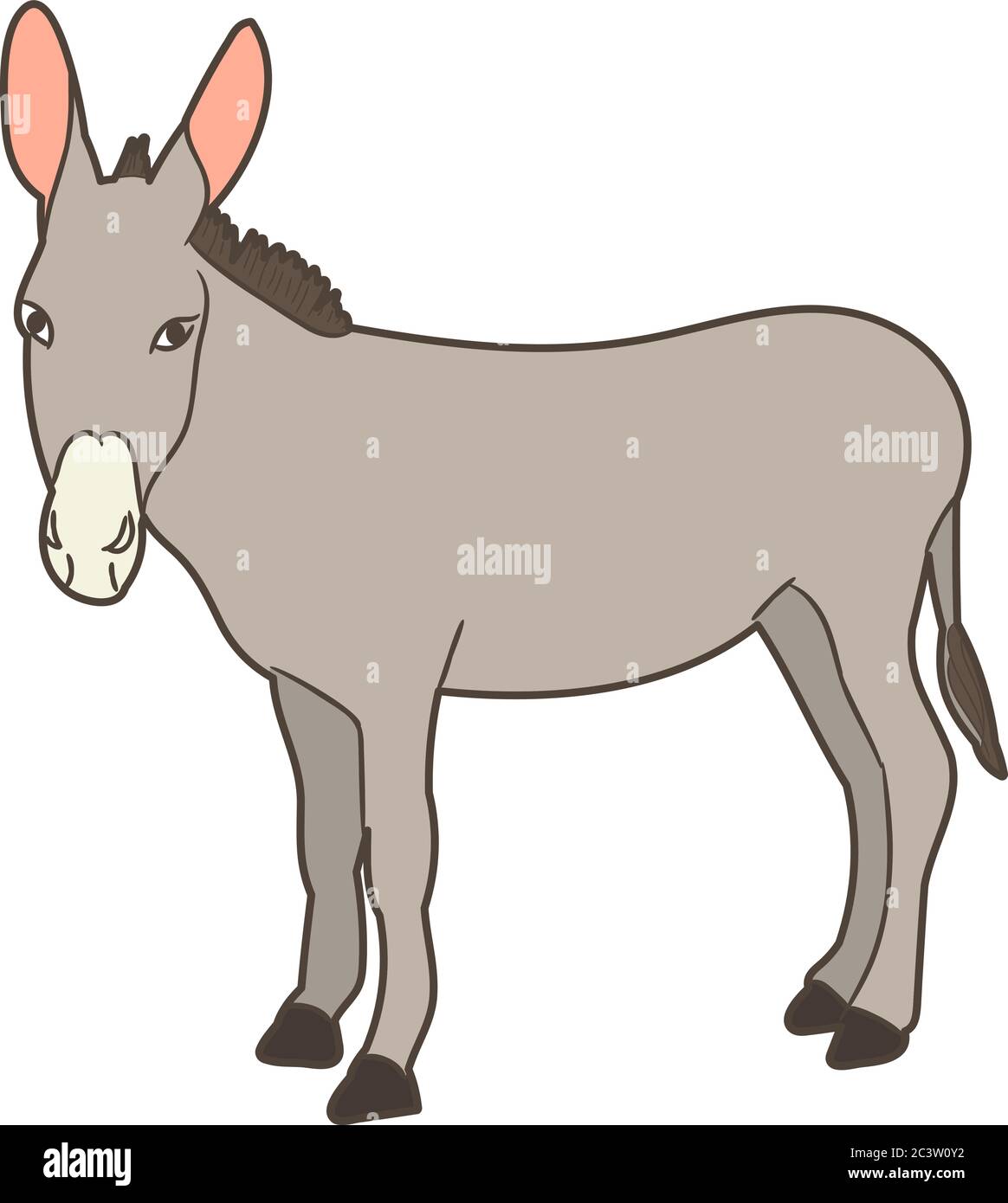 vector, isolated donkey gray Stock Vector Image & Art - Alamy