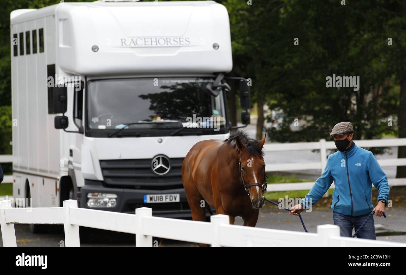 Stable staff from Kevin Ryan stable arrive at Ayr for Scotland's first ...