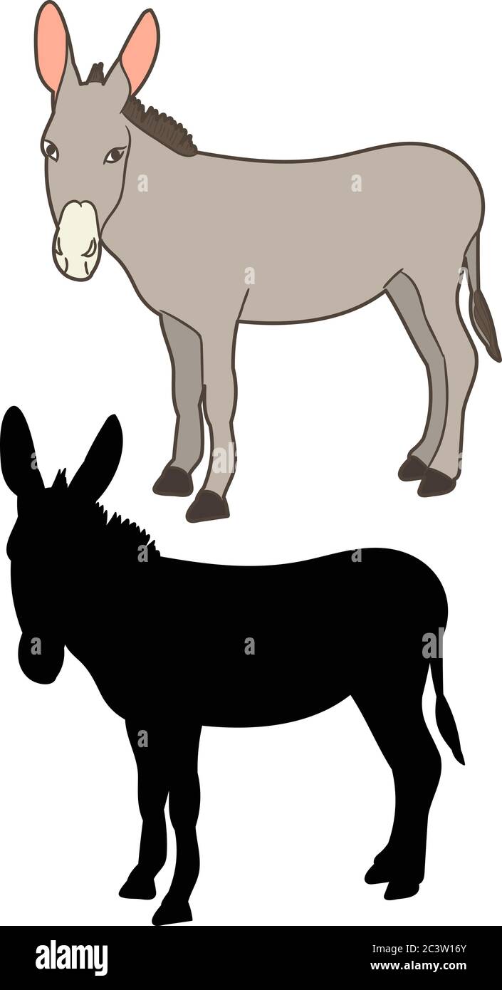 donkey standing in front of a white background Stock Vector Image & Art ...