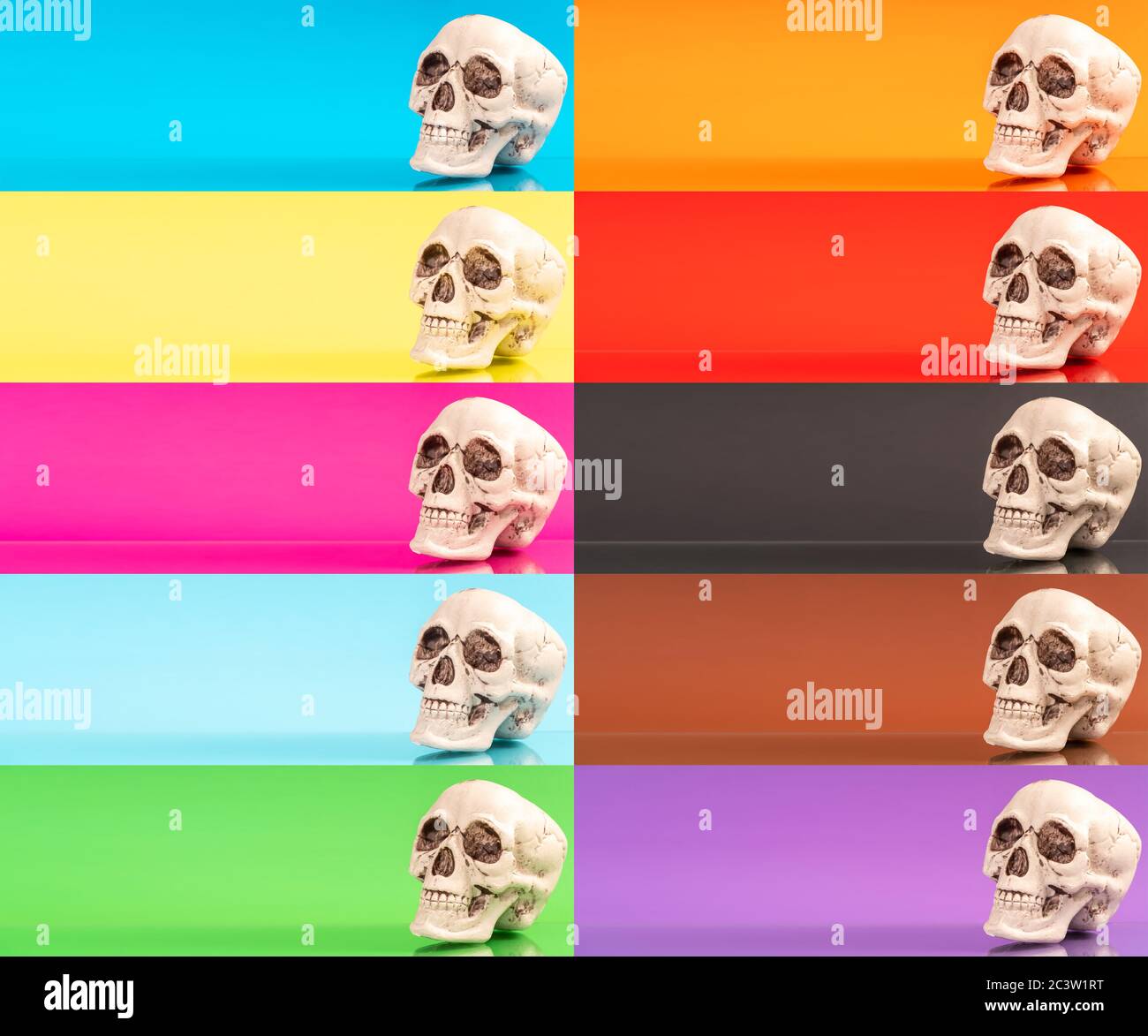 Artificial human skull on a colored background Stock Photo - Alamy