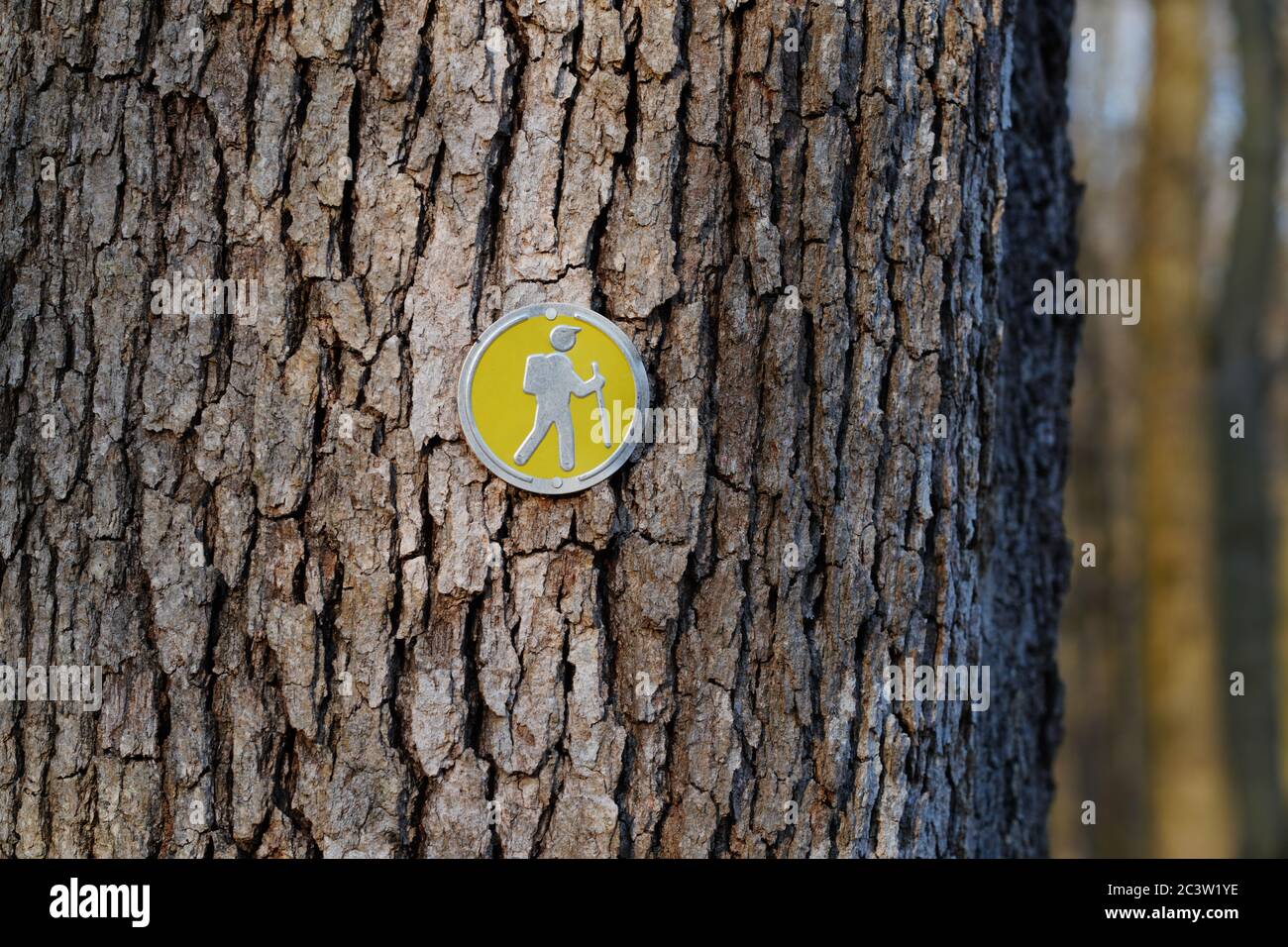 New wood forest trail sign hi-res stock photography and images - Alamy