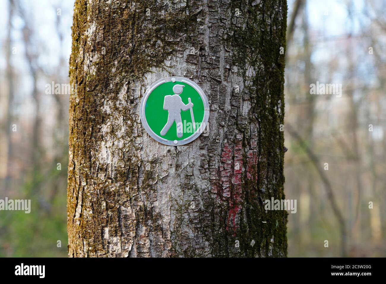 New wood forest trail sign hi-res stock photography and images - Alamy