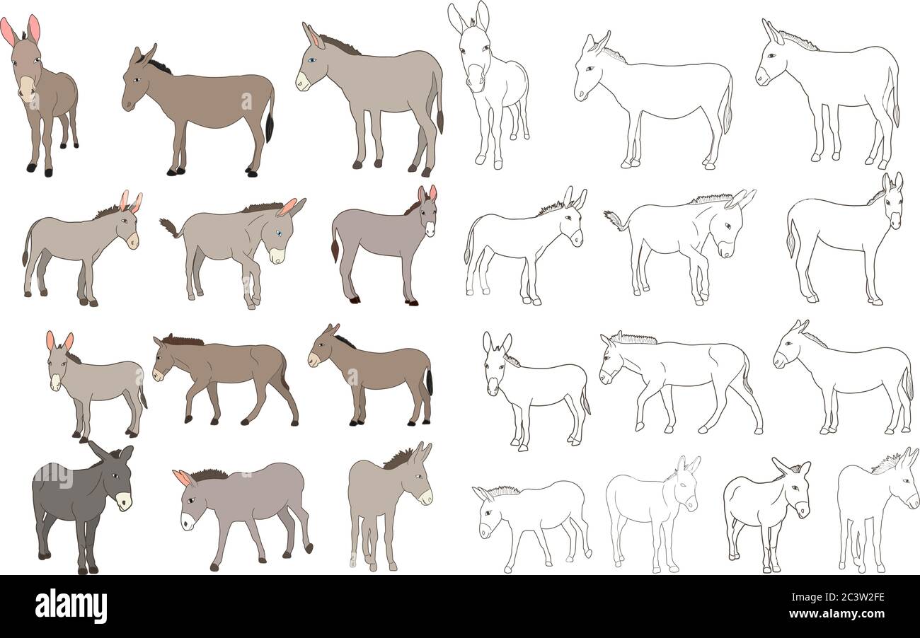 isolated, donkey, set vector Stock Vector Image & Art - Alamy