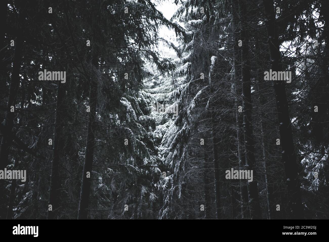 Ice trough hi-res stock photography and images - Alamy