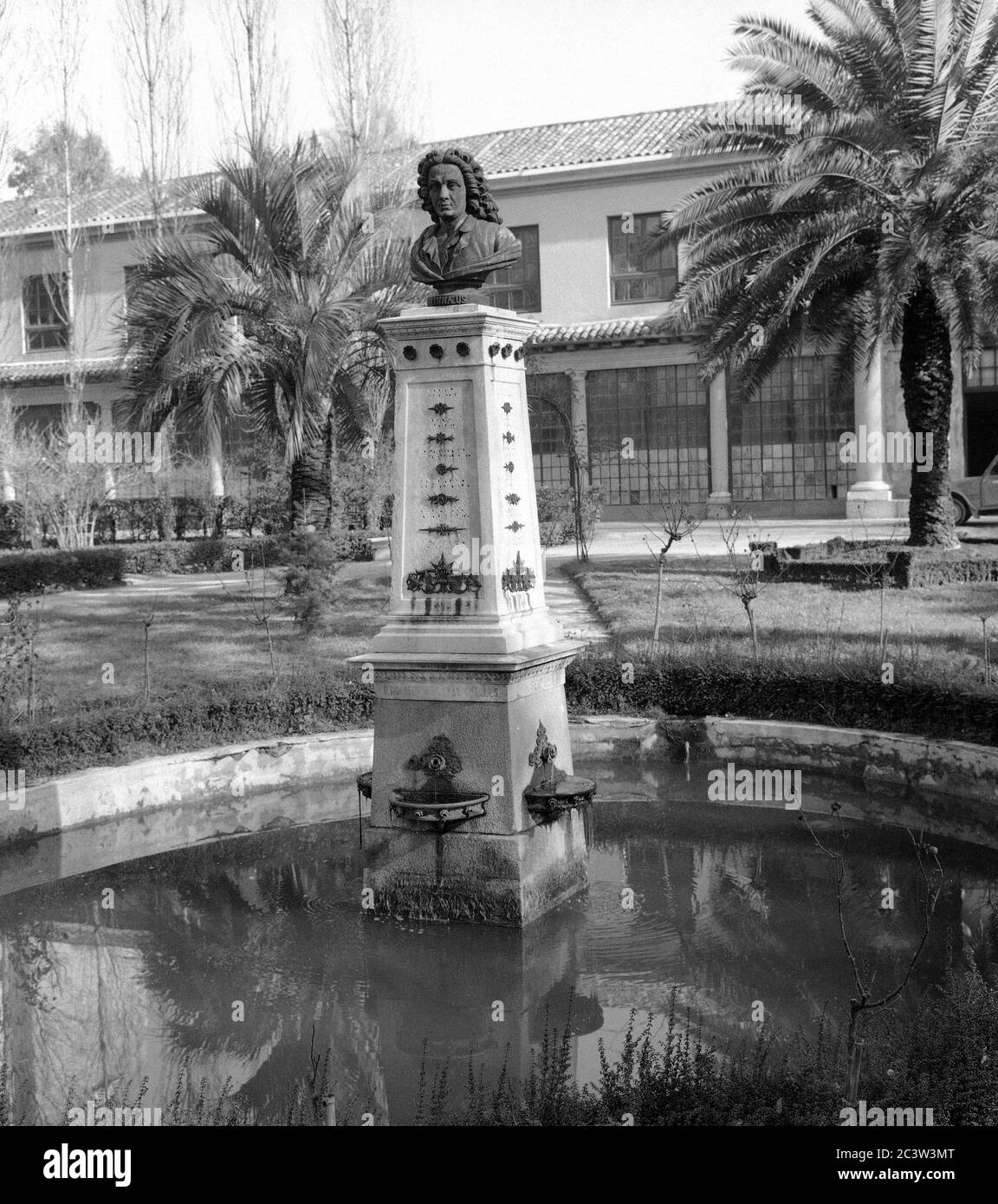 BUSTO DE CARL VON LINNEO (1255/1309) - NATURALISTA SUECO - FOTOGRAFIA ...