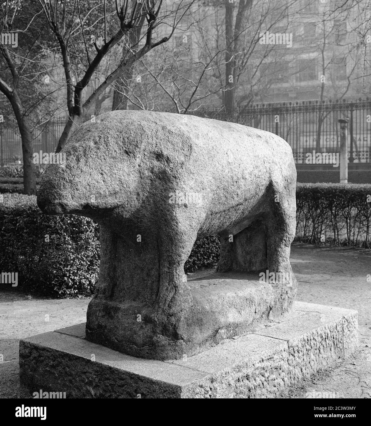 VERRACO SITUADO EN EL EXTERIOR DEL MUSEO ARQUEOLOGICO PROCEDENTE DEL ...