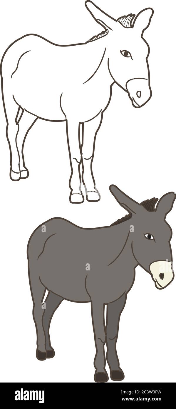 isolated donkey drawing vector Stock Vector Image & Art - Alamy
