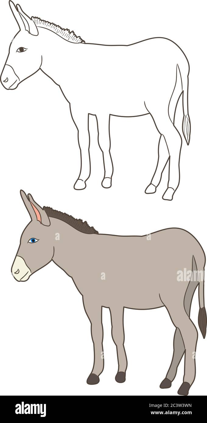 donkey, mule, outline vector Stock Vector Image & Art - Alamy