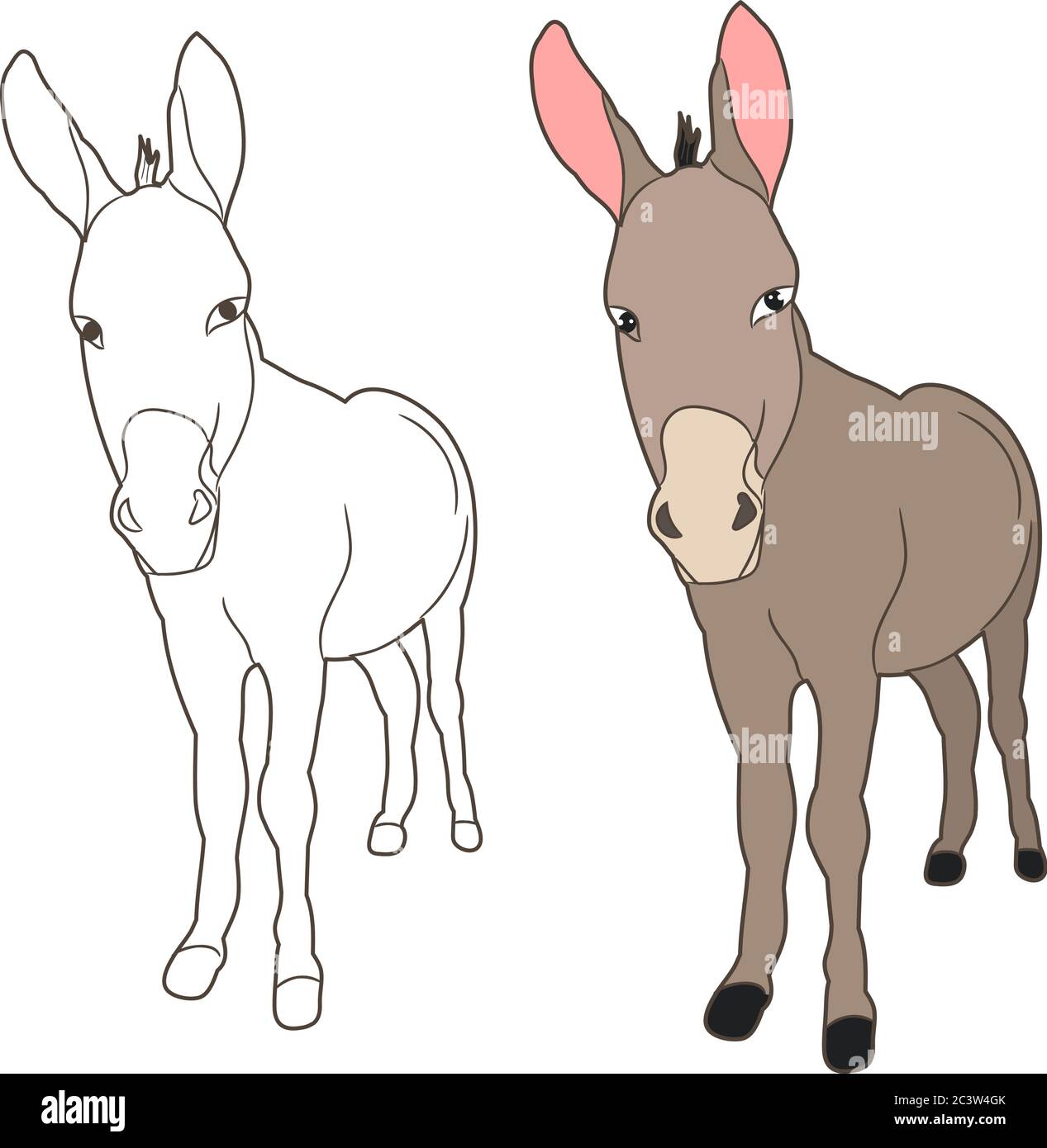 vector isolated donkey, mule, outline Stock Vector Image & Art - Alamy