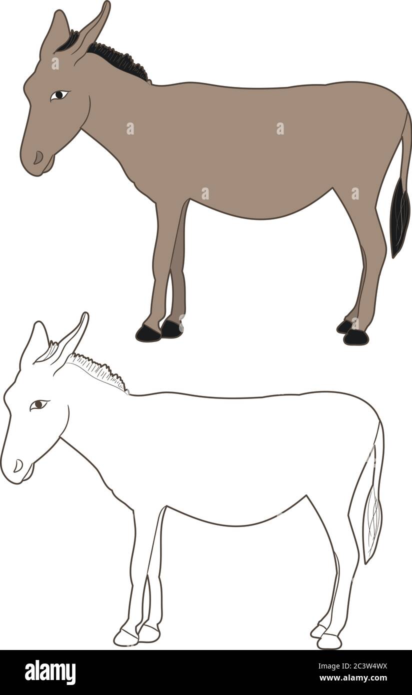 isolated donkey, mule, outline Stock Vector Image & Art - Alamy