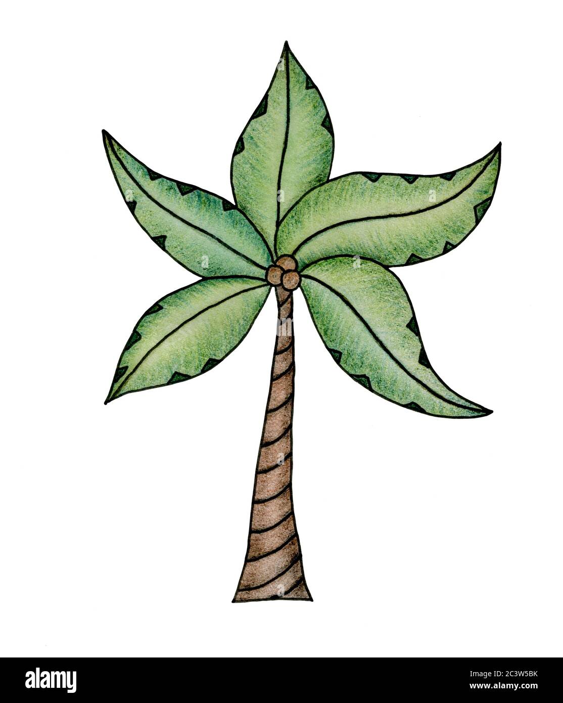 hand drawn cartoon palm tree isolated on white, tropical doodle ...